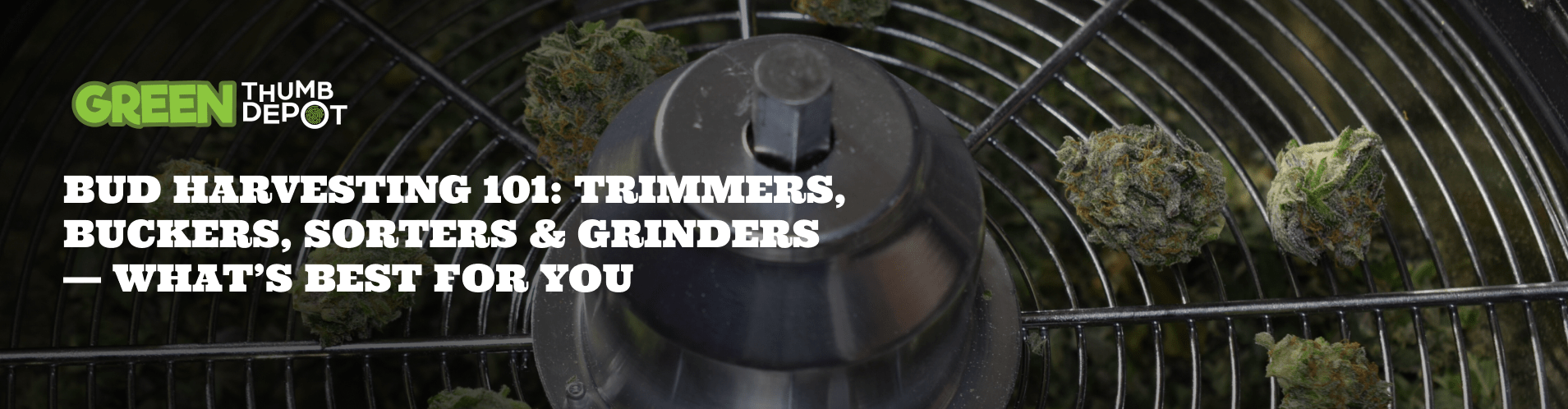 Bud Harvesting 101: Trimmers, Buckers, Sorters & Grinders — What’s Bes ...