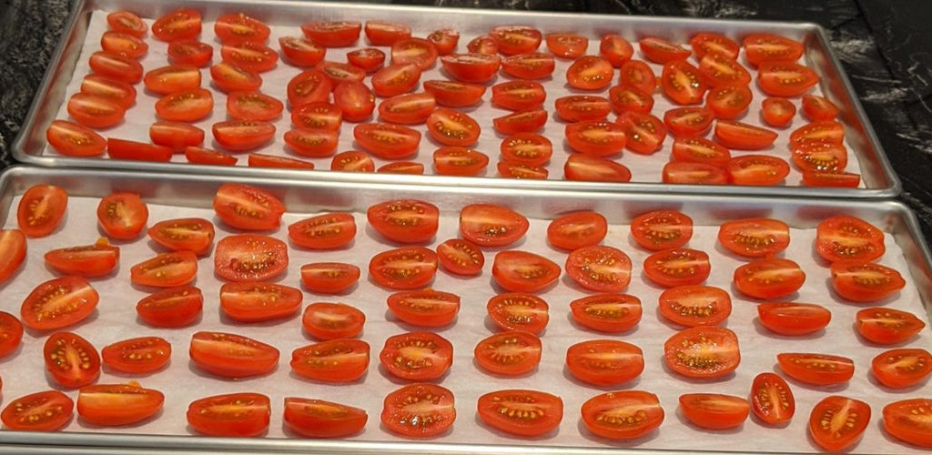 Freeze Drying Tomatoes — Green Thumb Depot