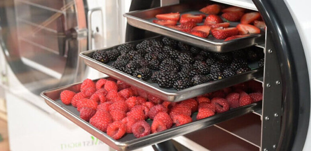 How Does Freeze Drying Work — Green Thumb Depot