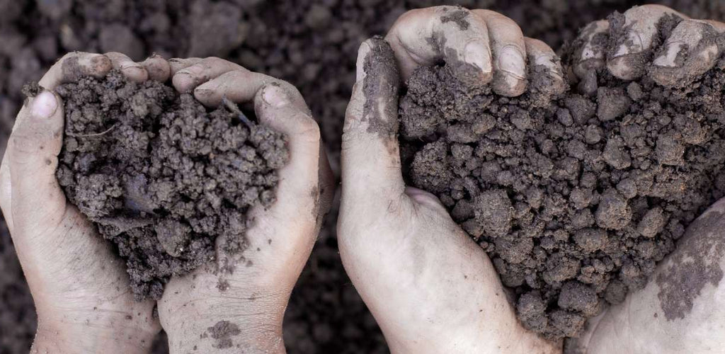 Mastering the Art of Composting at Home: A Comprehensive Guide to Comp ...