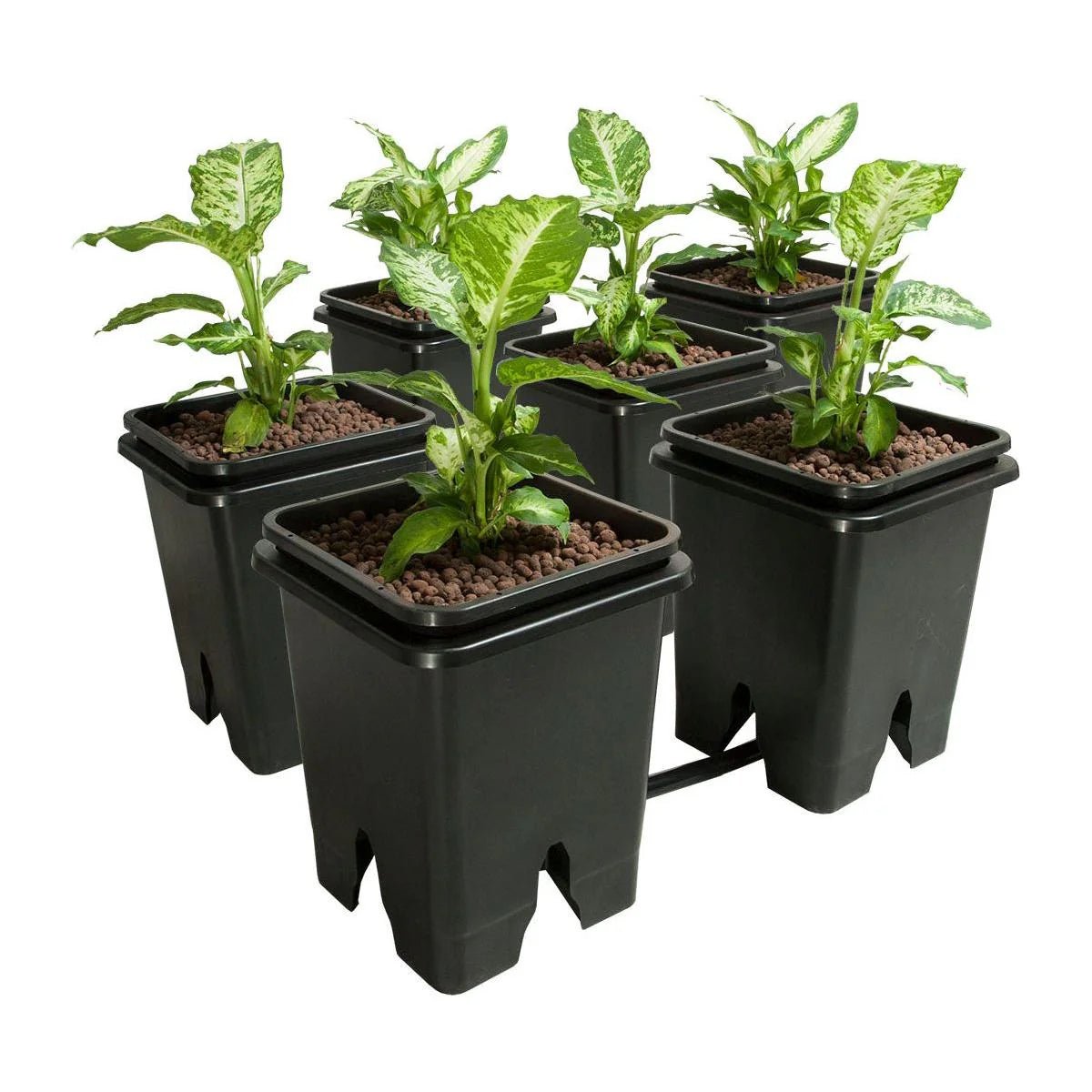 Active Aqua Grow Flow 2.0 Expansion Kit Hydroponic Grow System — 5 Gal ...