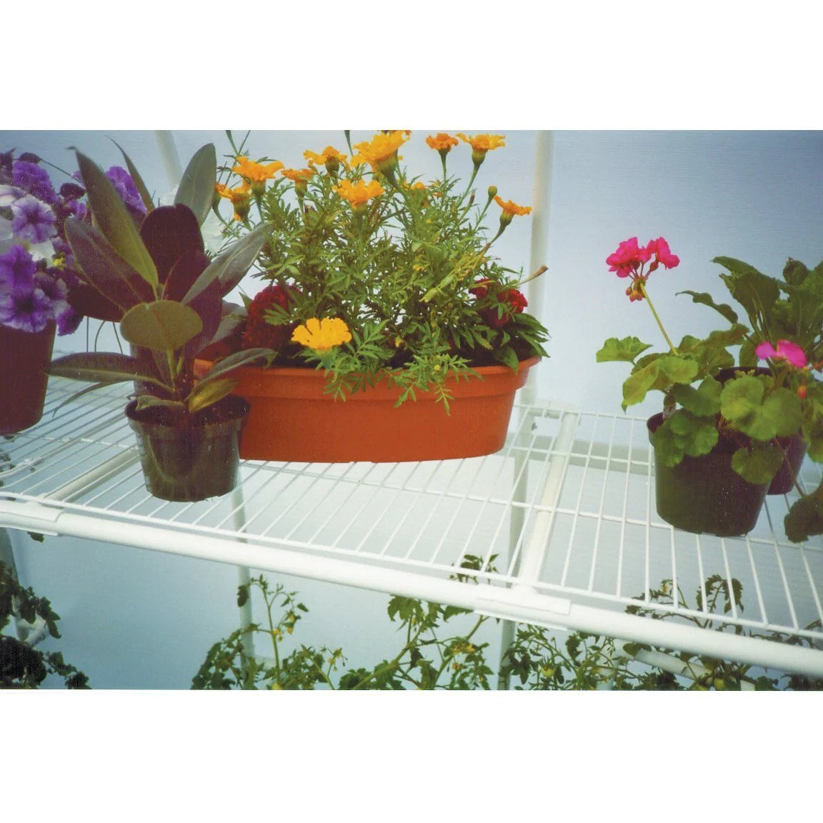 Solexx Greenhouse Side Shelf Package — Green Thumb Depot